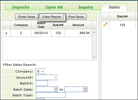 Entering Sales in AR