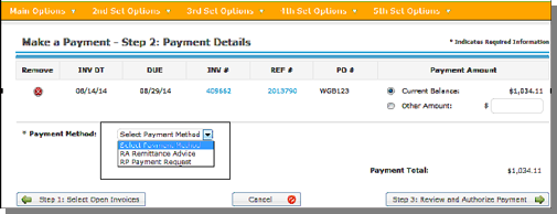 Payment System Setup